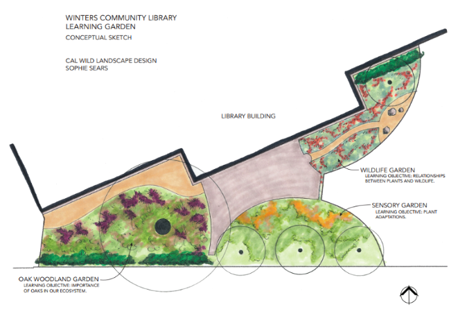 Plans for Learning Garden at the Winters Community Library – Winters ...